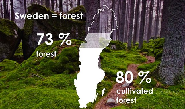 How has Sweden incorporated IoT into their forests?